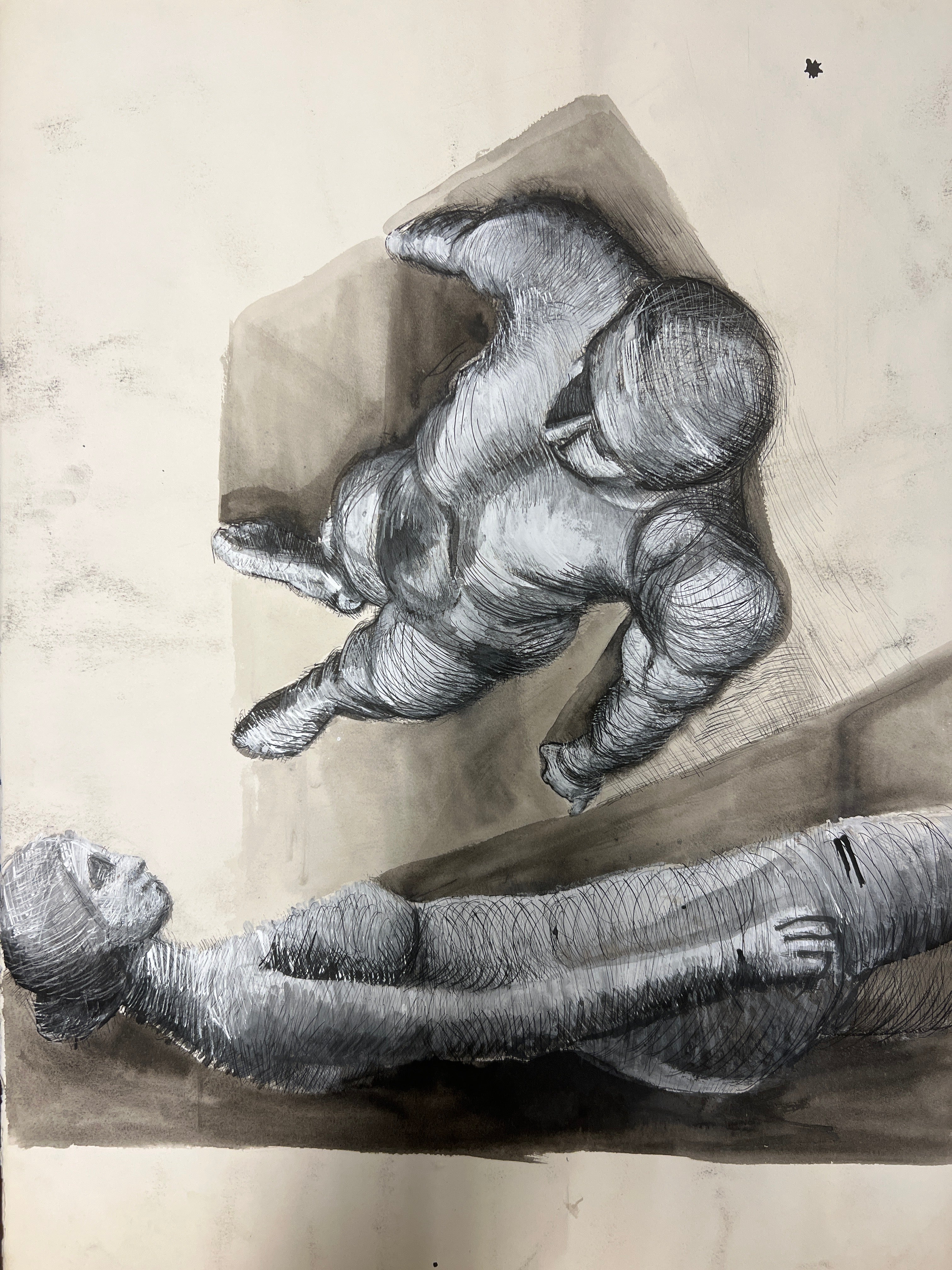 Anatomy Shadows (Nina Gelin-Meier Collection)